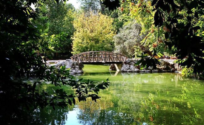 Roseforth. – For Family